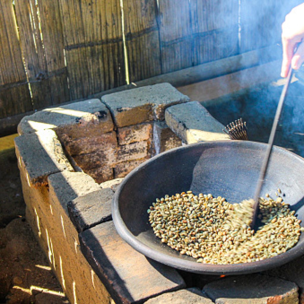 Bali Luwak Coffee | Coffee Plantation | Bali Tour Voyage