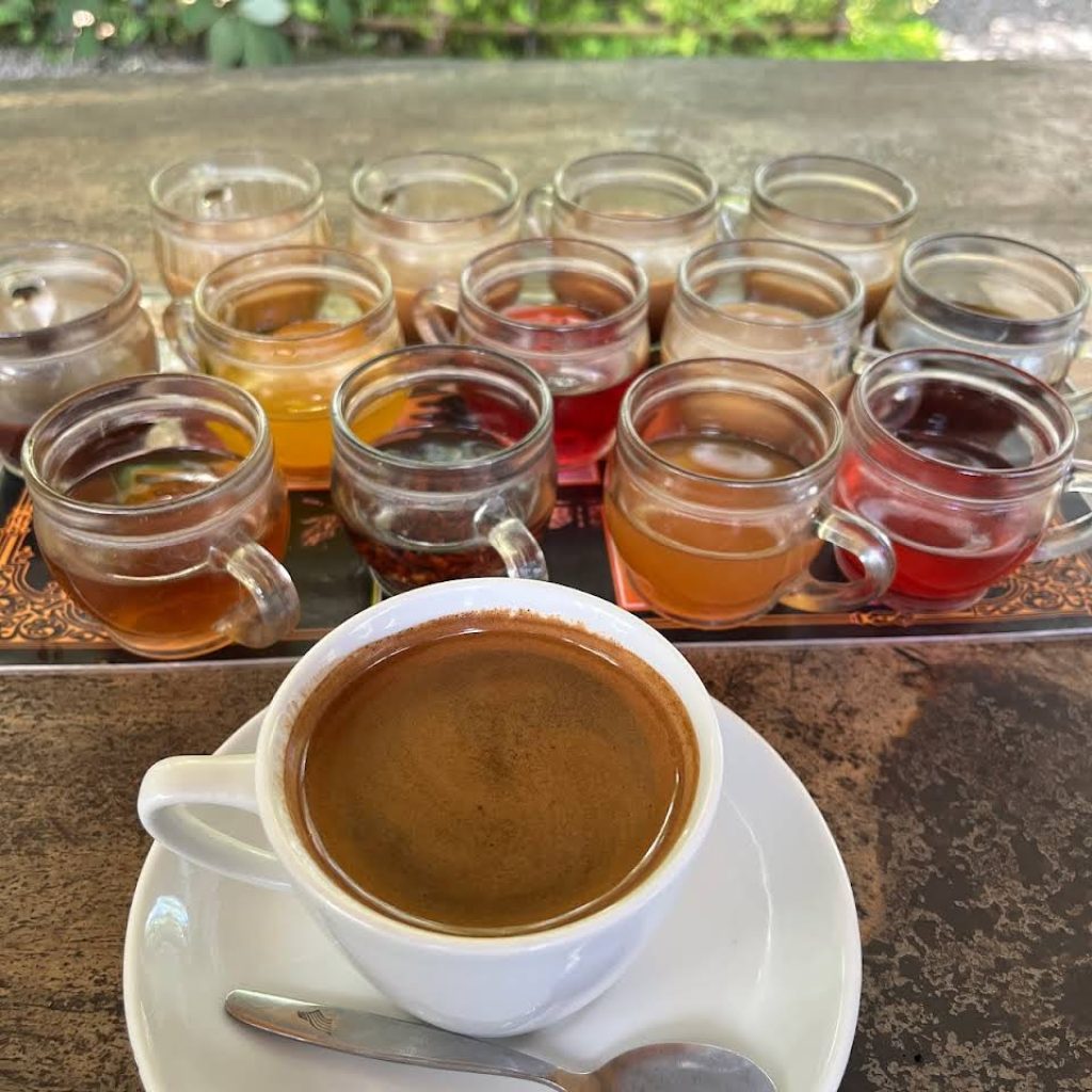 Bali Luwak Coffee | Coffee Plantation | Bali Tour Voyage